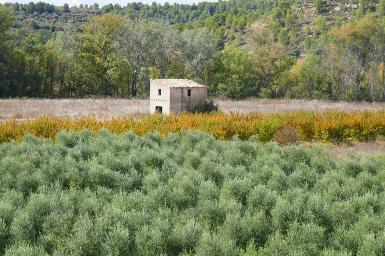 A colourful Spanish autumn – Back on the road again