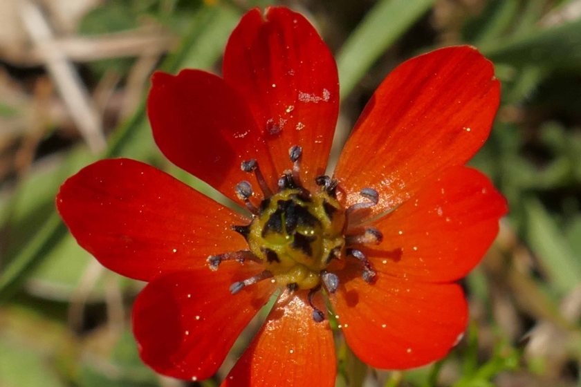 One’s Destination is Never a Place, but always a New Way of Seeing ...